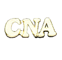 CNA LAPEL PIN