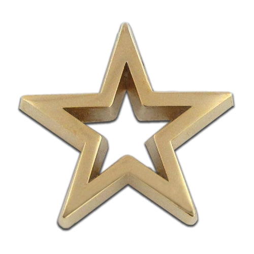 GOLD STAR PIN